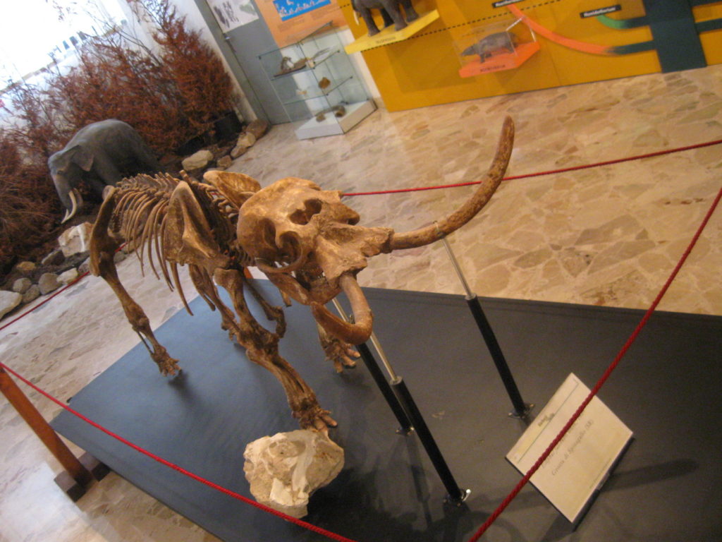 Research – Roberto Rozzi